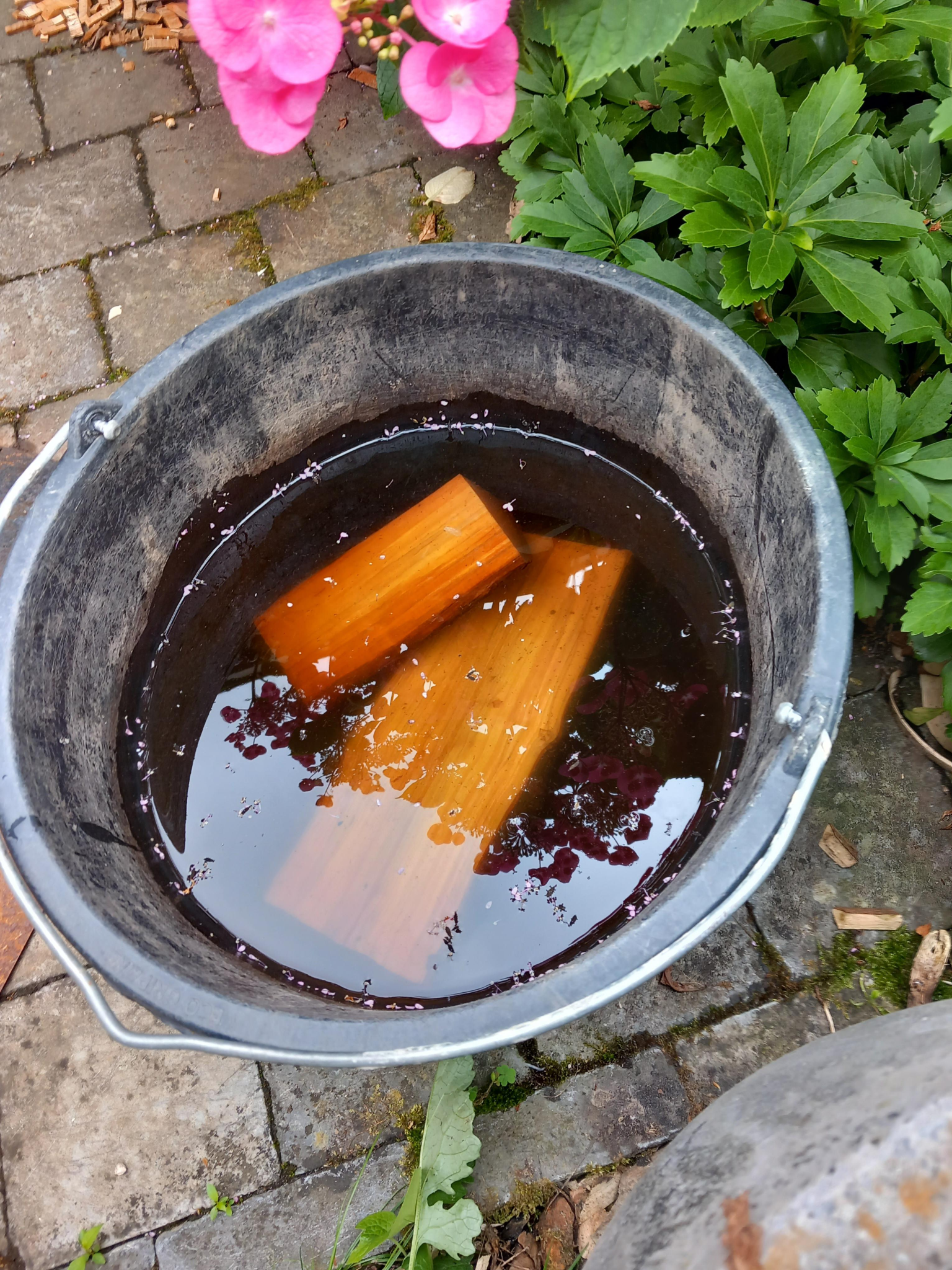 15 Easy Ways to Soften Wood for Carving - 2025