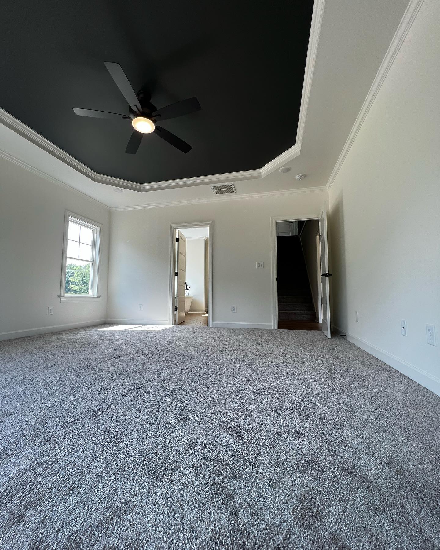 10 Dazzling Tray Ceiling Paint Ideas to Revamp Your Ceiling - 2025