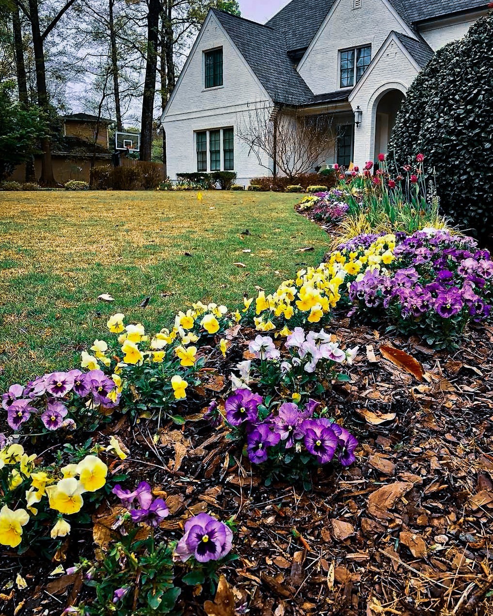 10 Passionate Front Yard Flower Bed Ideas to Elevate Your Curb Appeal ...
