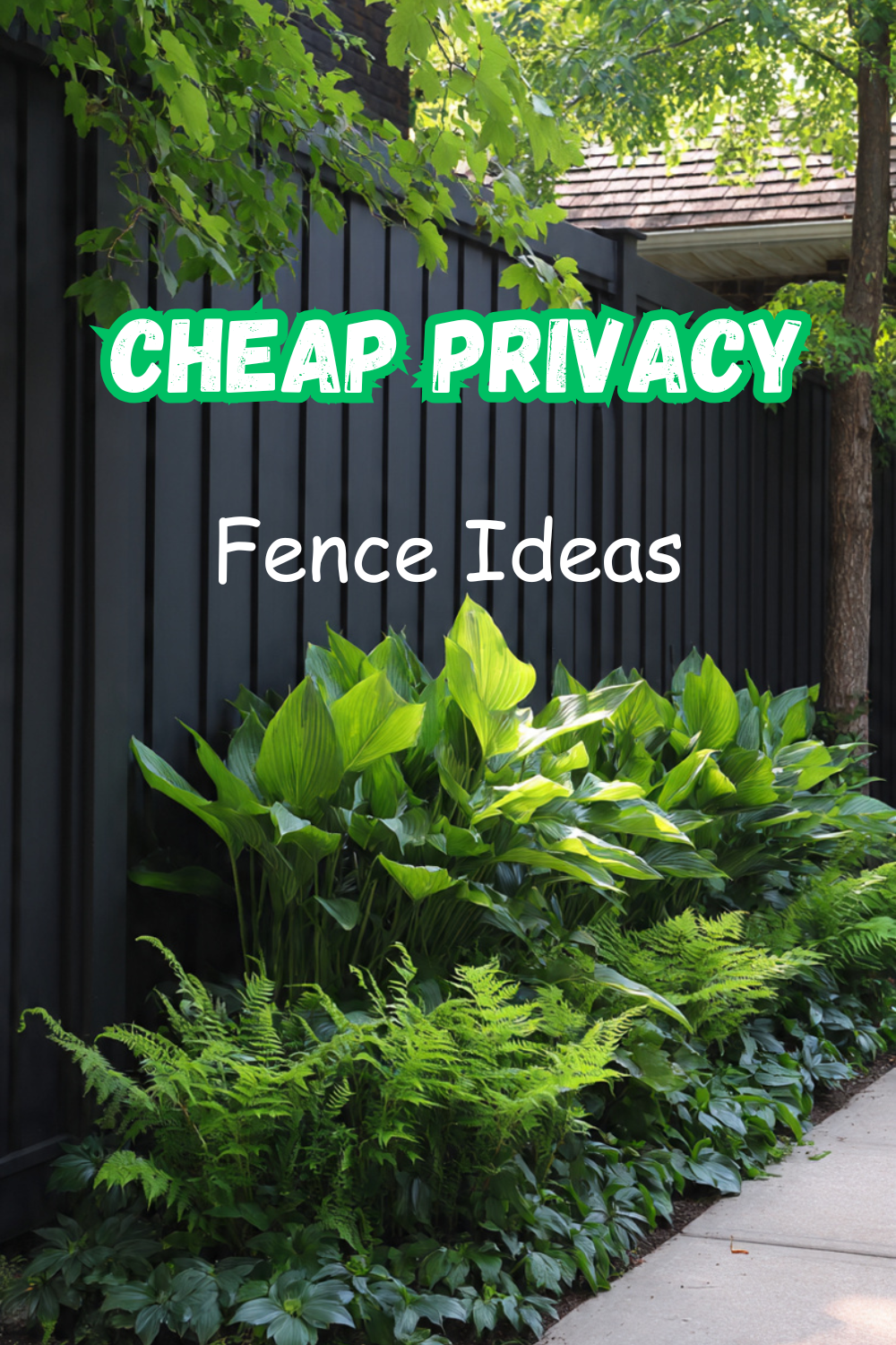 10 Cheap Privacy Fence Ideas That Look Expensive - 2026