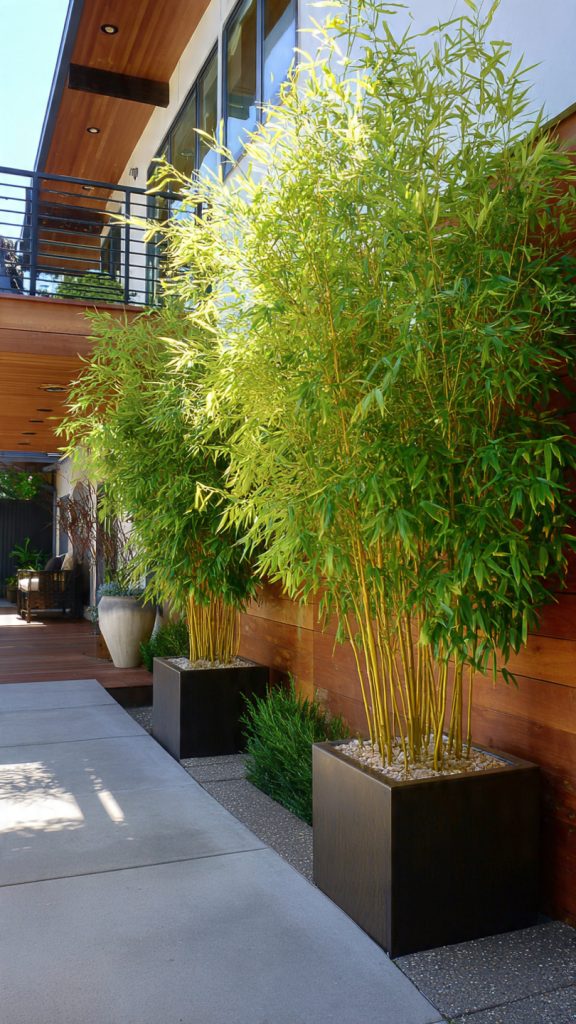 10 Backyard Privacy Ideas That Still Look Beautiful - 2026